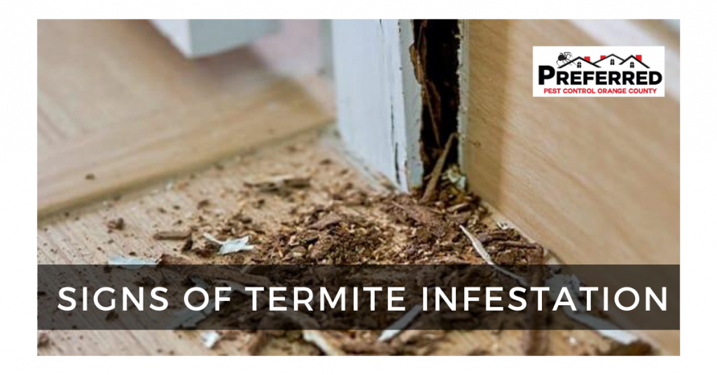 Signs of Termite Infestation – Orange County Pest Control
