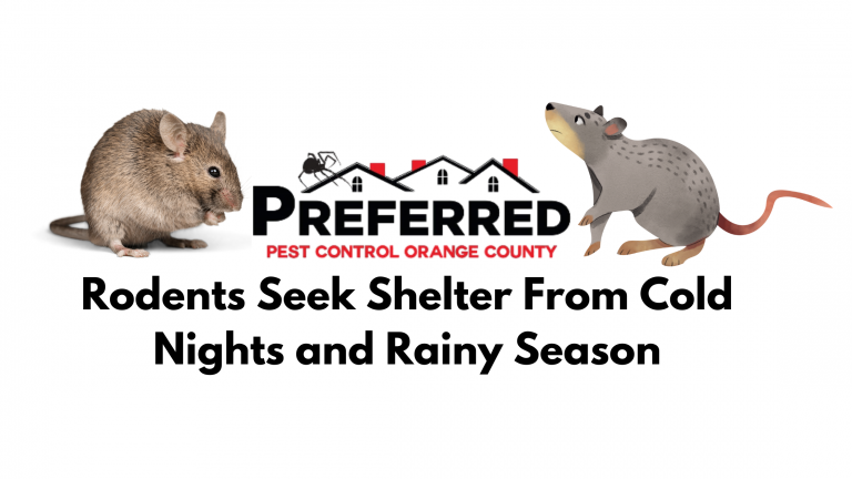 Orange County Pest control | Preferred Pest Control