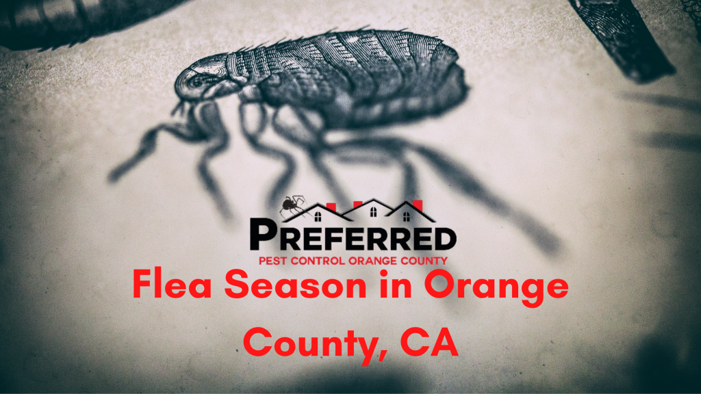 Orange County Pest control | Preferred Pest Control