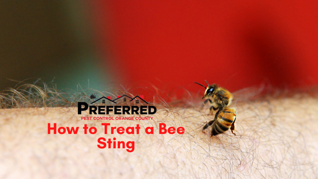 Orange County Pest control | Preferred Pest Control