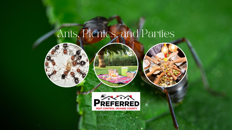 Orange County Pest control | Preferred Pest Control