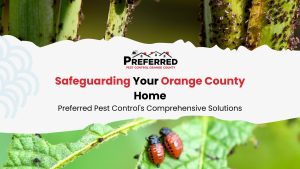 Orange County Pest Control
