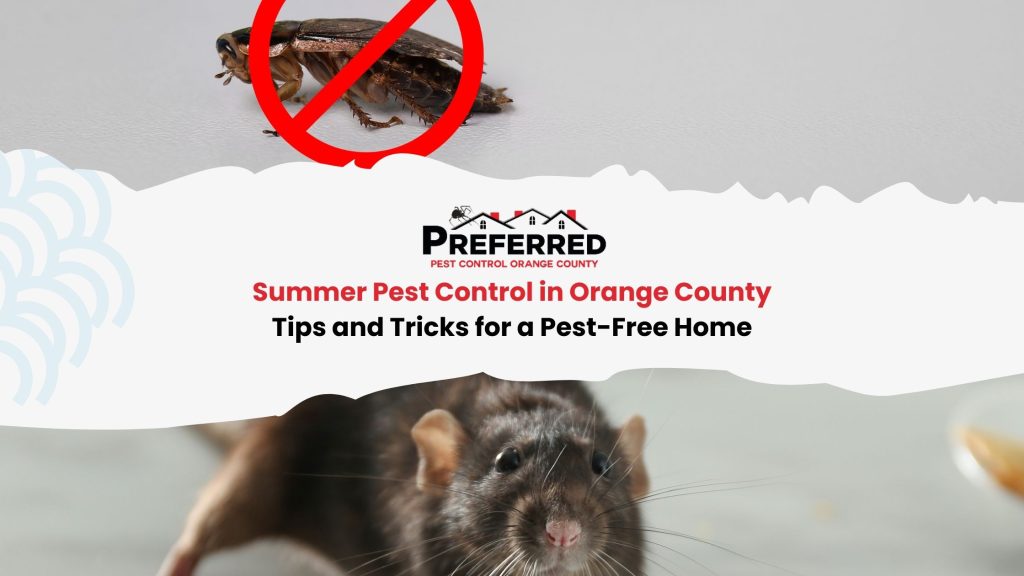Summer Pest Control in Orange County: Tips and Tricks for a Pest-Free ...