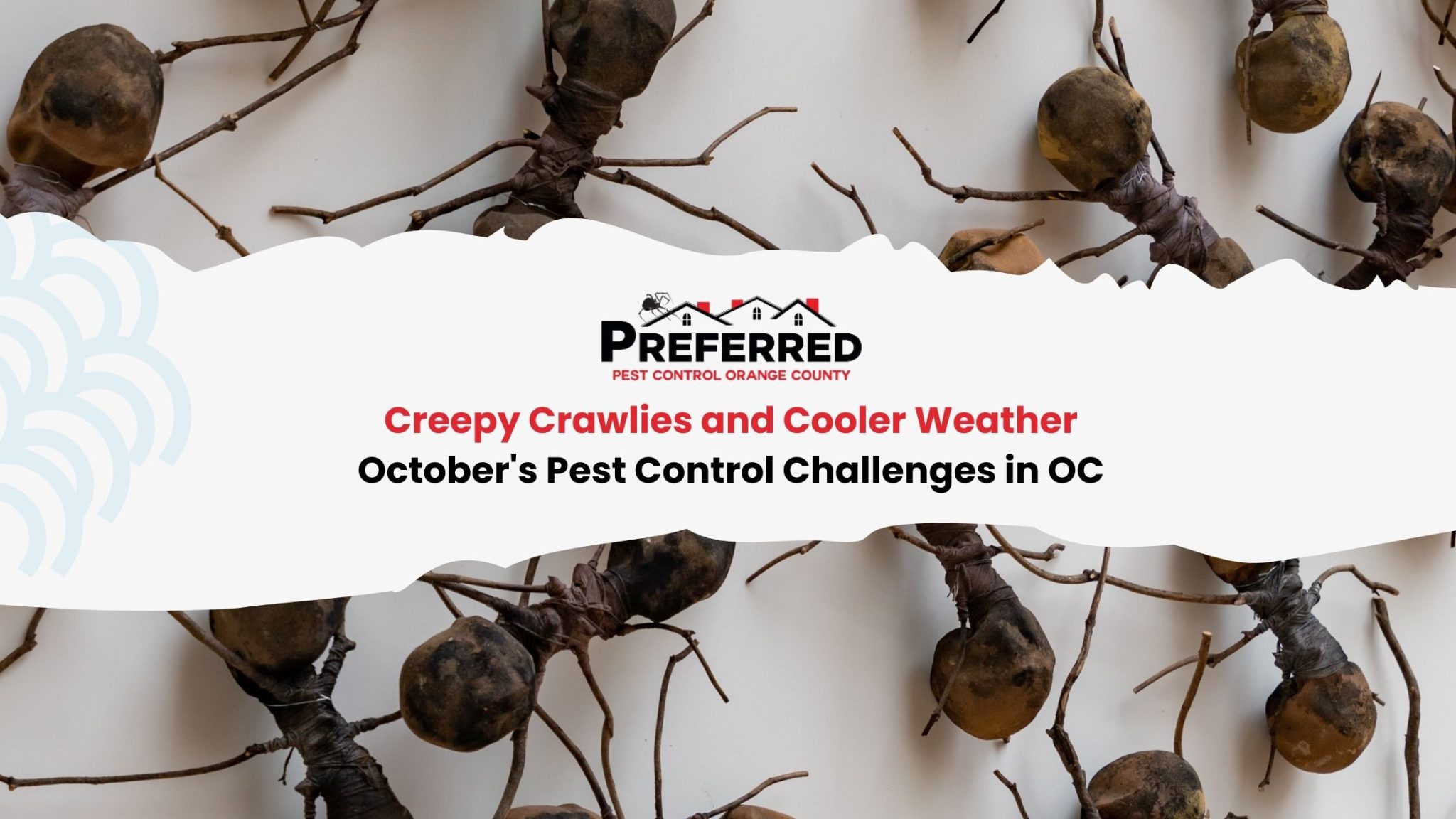 Orange County Pest Control