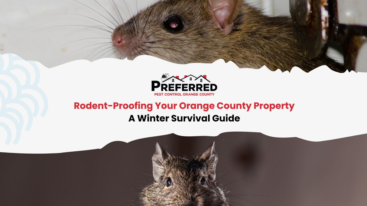 Orange County Pest Control
