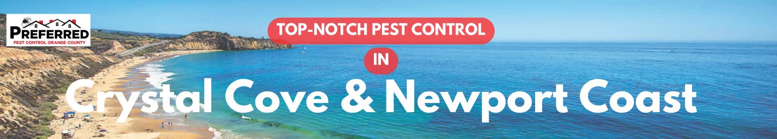 Crystal Cove & Newport Coast Pest Management | Exclusive Property ...