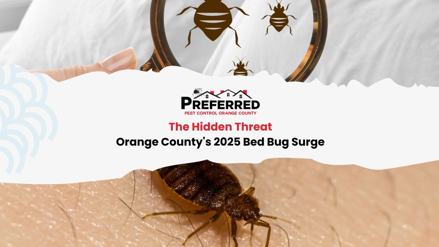 Orange County Pest Control