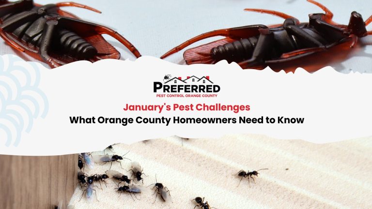 Orange County Pest Control