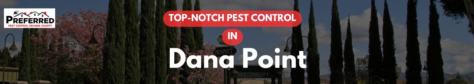 Professional Pest Management in Dana Point | Residential & Commercial ...