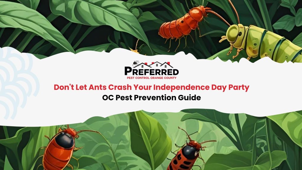 Don't Let Ants Crash Your Independence Day Party: OC Pest Prevention ...