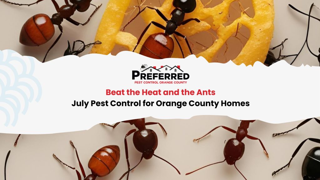 Sitemapcdatahttpsomobeldreferenzcomdoes Heat Kill Ants