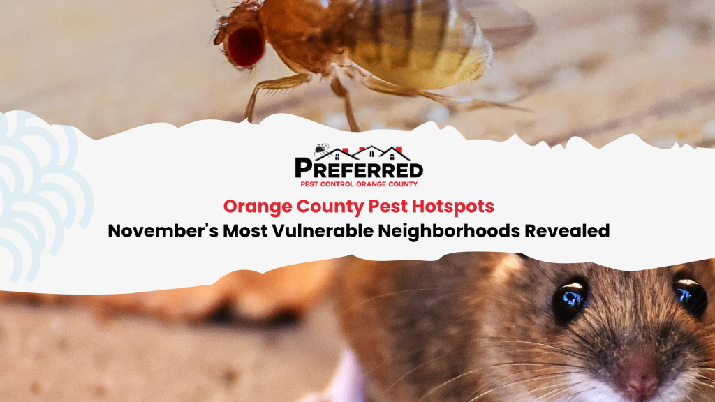 Orange County Pest Hotspots: November's Most Vulnerable Neighborhoods ...
