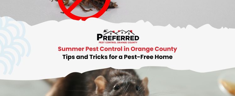 Summer Pest Control in Orange County: Tips and Tricks for a Pest-Free ...