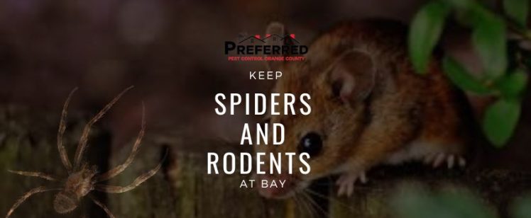 Start Your Year Right: Keep Spiders and Rodents at Bay with Preferred ...