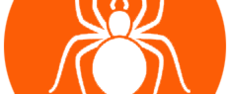 spider – Orange County Pest Control